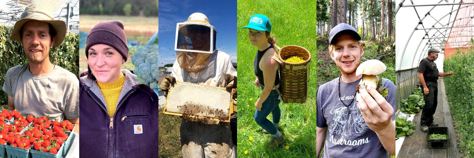 Breadroot Natural Foods Co-op – Black Hills community owned natural ...